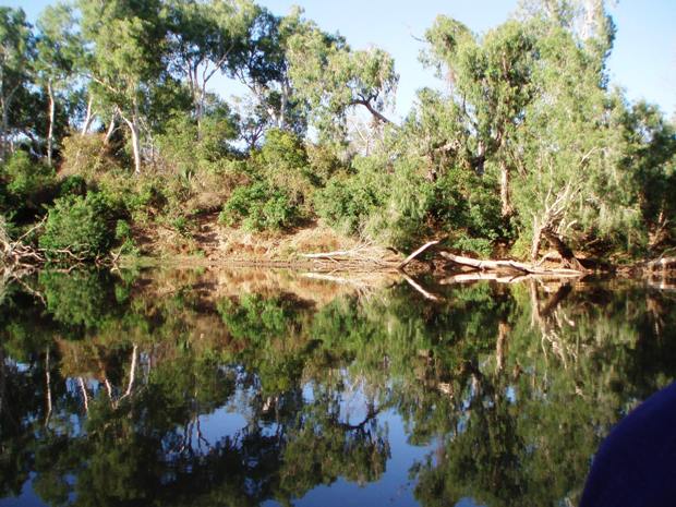 Cape York Barra Fishing | Barramundi Fishing, Camping Safaris and ...